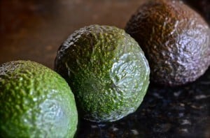 Avocado Health Benefits: The World's Most Perfect Food? - True Activist