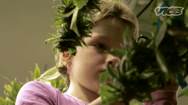 Stoned Kids (Documentary) - True Activist