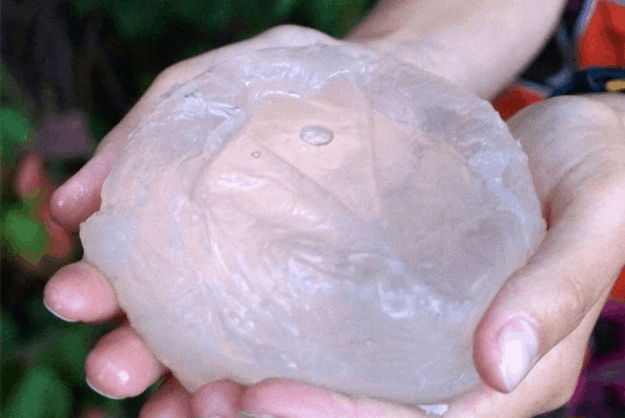 Edible “Ooho” Water Bottle Can Be Cooked Up In Your Kitchen - True Activist