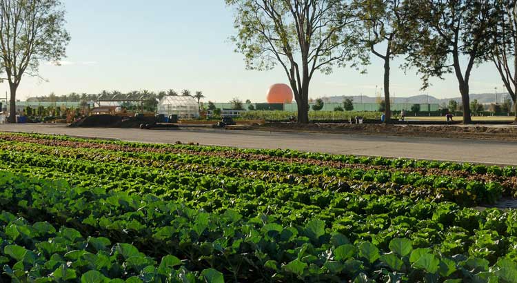 This Edible Park Feeds 200,000 Hungry People Every Month! - True Activist