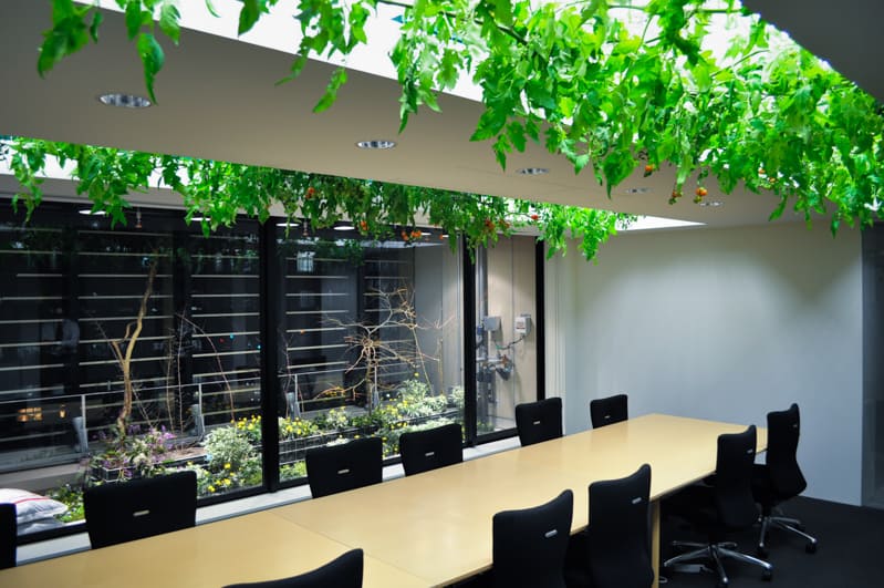 Employees In This Office Space Share Their Cubicles With An Urban Farm ...
