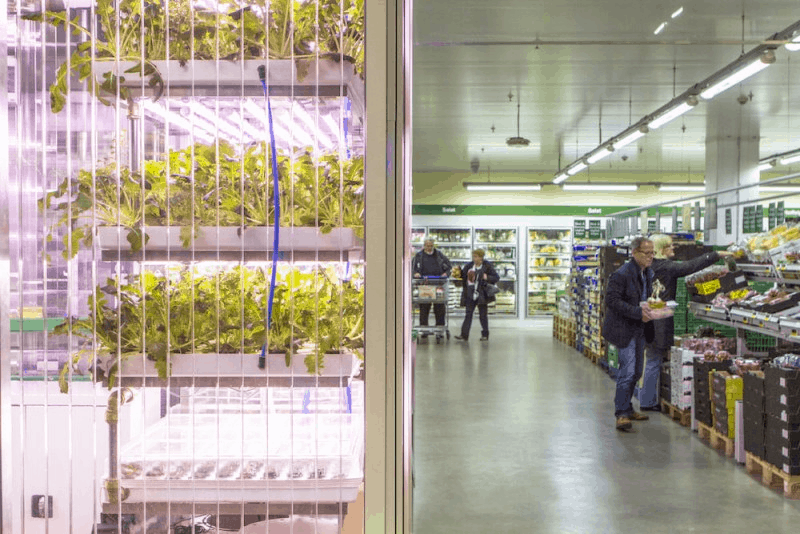 The Next Big Trend: Farming In Your Supermarket - True Activist