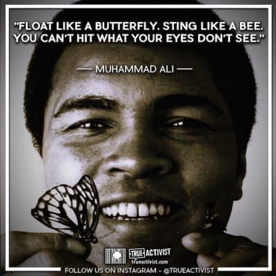 Float Like A Butterfly, Sting Like A Bee: 10 Great Quotes From The One ...