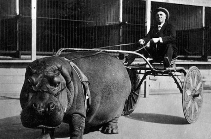 Rare Historical Pictures That You Can’t Miss - Page 35 of 38 - True ...