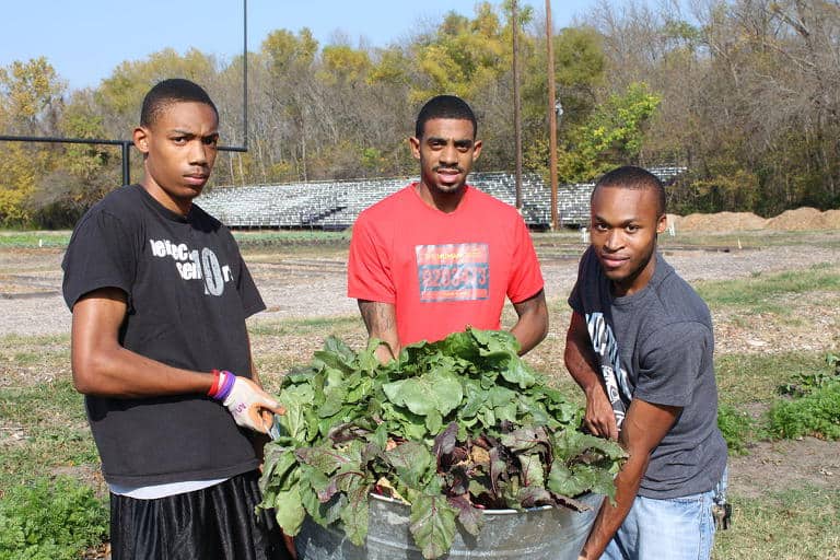 Football Field Farm Turns Around College And Builds Community With ...