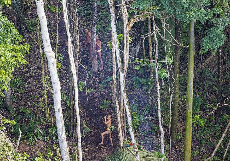 Remarkable Photos Of An Uncontacted Amazon Tribe Unaware Of Modern ...
