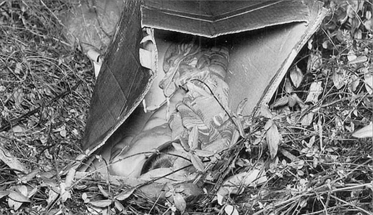 30 Of History's Most Shocking And Mysterious Cold Cases - Page 3 of 31 ...