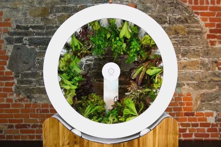 Rotating Indoor Garden Grows 100 Herbs Or Veggies Every Single Month ...