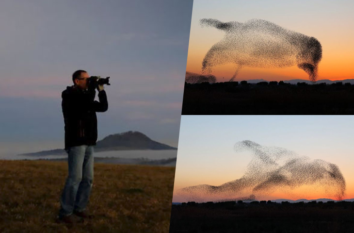 Photographer Unexpectedly Captures A Breathtaking Photo! - True Activist