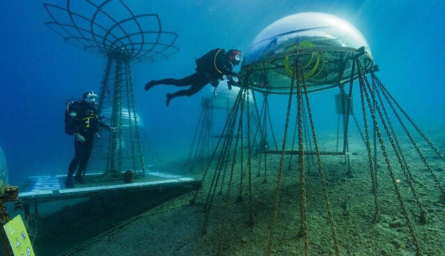 Finally – An Innovative Underwater Garden That Grows Vegetables In ...